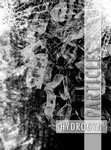Hydrogyn - Discography